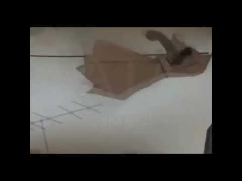 Cox anlamli qisa video