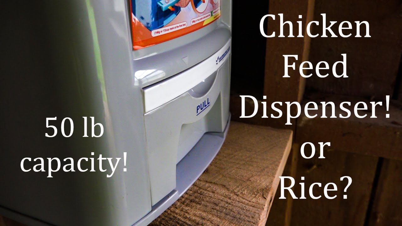 Chick Starter Crumble Feed Dispenser by Tayama USA Feeding Chickens ...