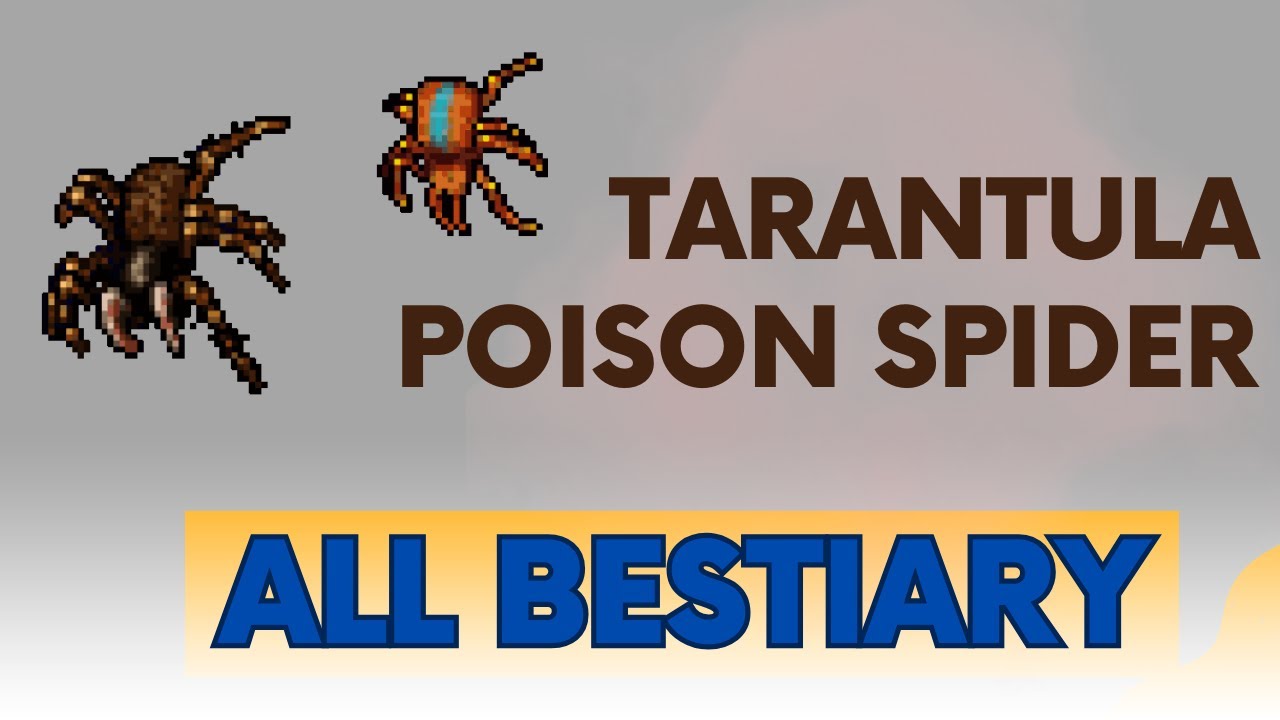 All Bestiary Tibia EK/RP - TARANTULA/POISON SPIDER - EP6 - YouTube