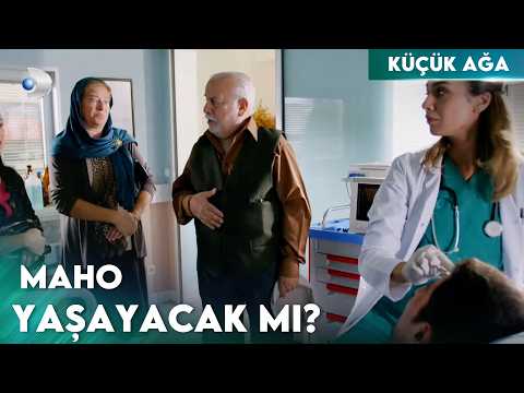 Hamiyet, Maho'nun Kafasını Kırdı  I Küçük Ağa
