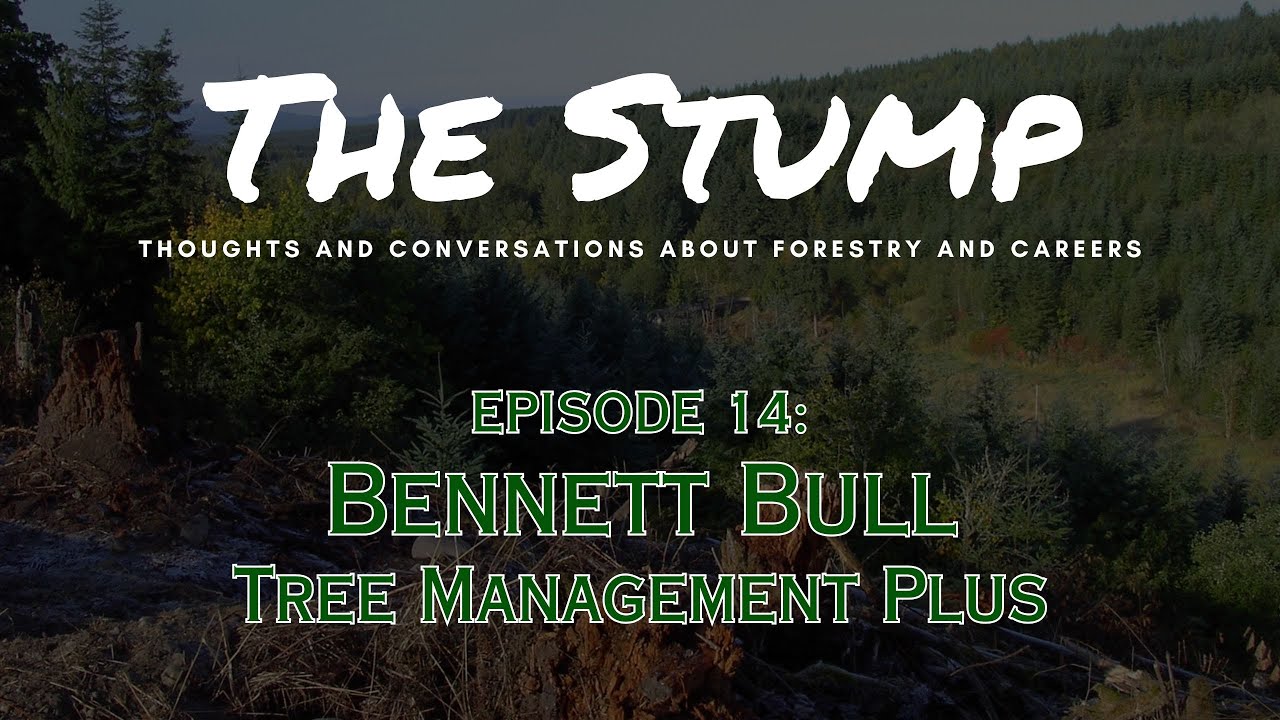 Bennett Bull - Tree Management Plus - YouTube