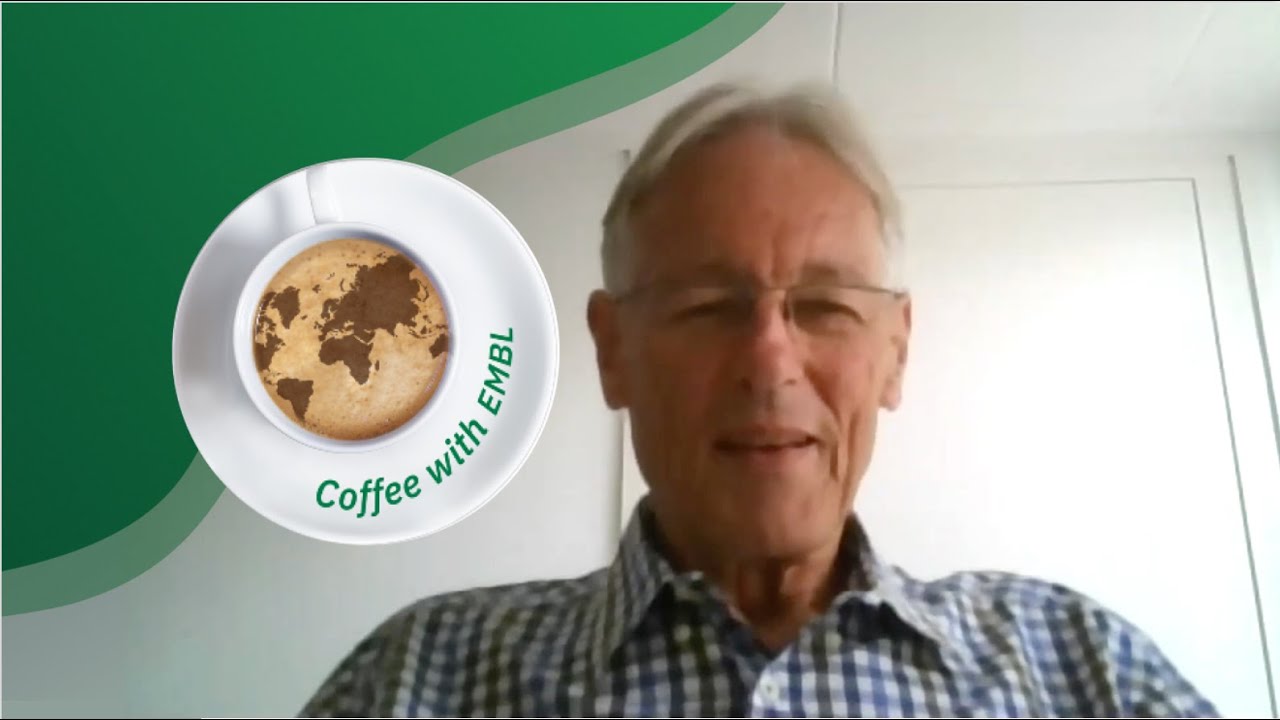 🦠 Peter Rottier's Guide to Understanding Coronaviruses - YouTube