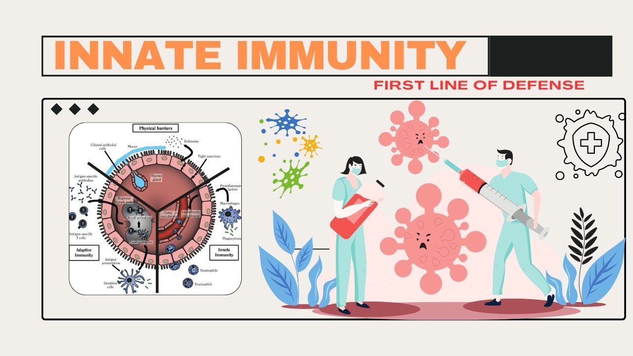 Innate Immunity/ Immunology Part-1 - YouTube