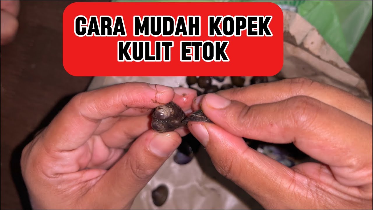 🗿CARA Makan Etok @ Etak🦪||#etak#etok#chemann#subscribe#like#share# ...