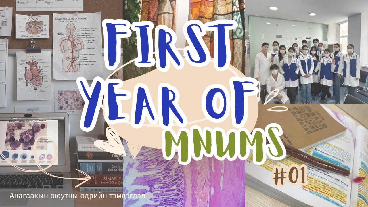 Анагаахын эхний жил~ First year student of MNUMS - YouTube