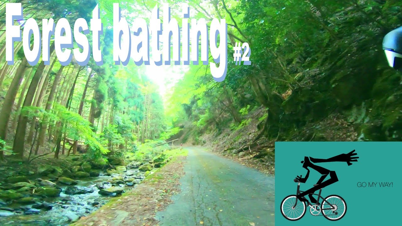 🚴🎵30min cycling with me in the forest②🚴🎵 [ virtual forest bathing ] - YouTube