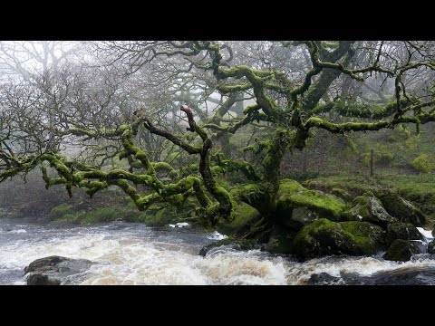 Champagne Coast - YouTube