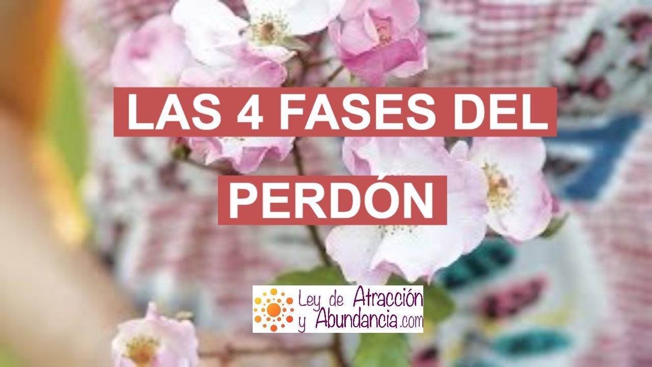 Las 4 Fases Del Perdón (Las Flores Del Perdón) - YouTube