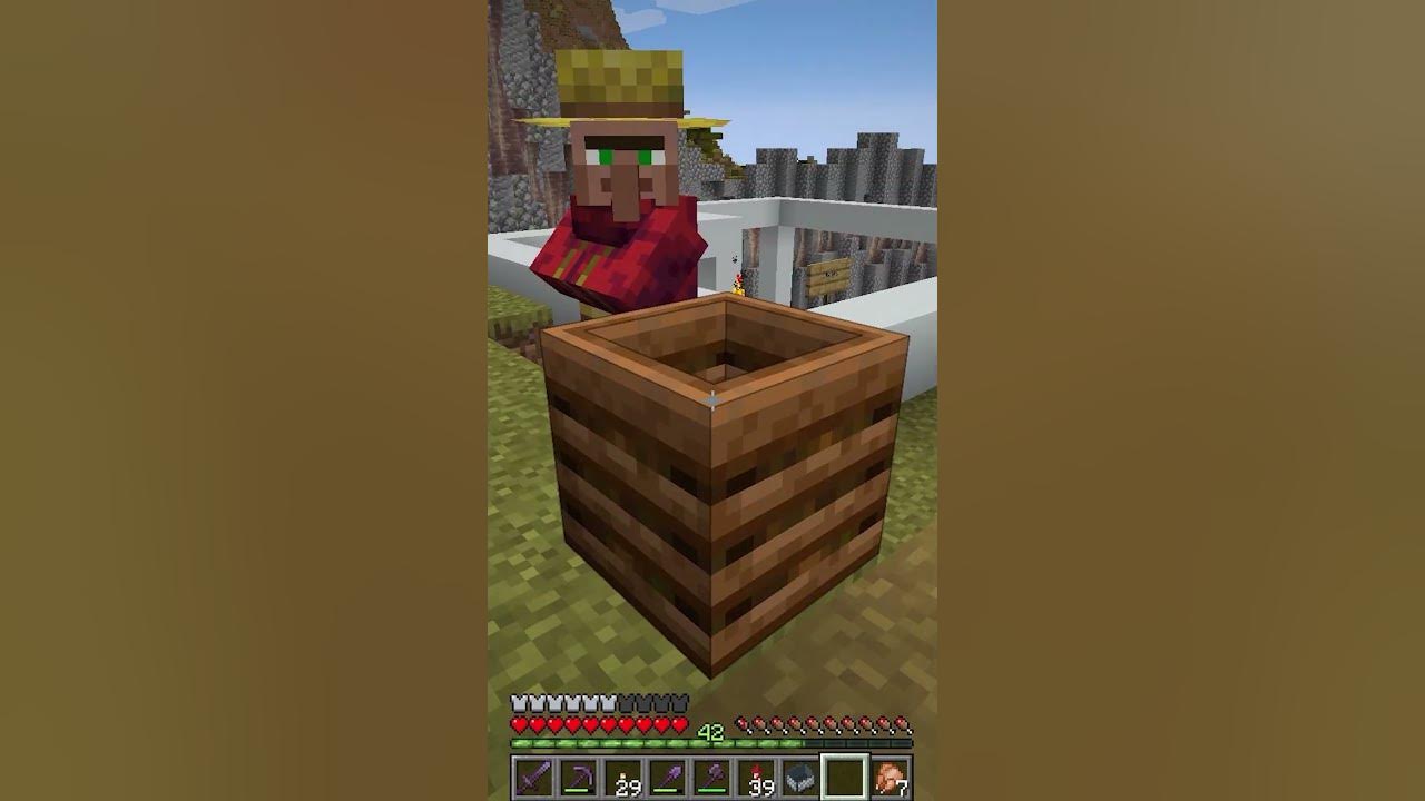 How to Move Villagers in Minecraft - YouTube