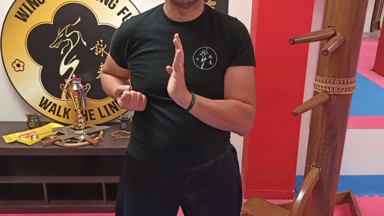 1st section Siu Lim Tao - YouTube