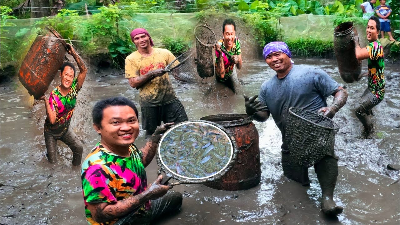 The Shocking Truth Behind African Hito's Harvest Season - YouTube