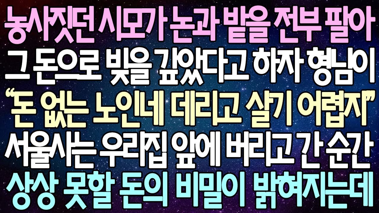 반전 사연 농사짓던 시모가 논과 밭을 전부 팔아그 돈으로 빚을 갚았다고 하자 형님이 서울사는 우리집 앞에 버리고 간 순간