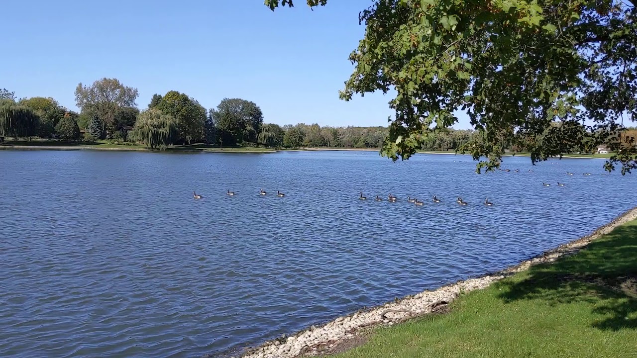 Marshall Park Lake - YouTube