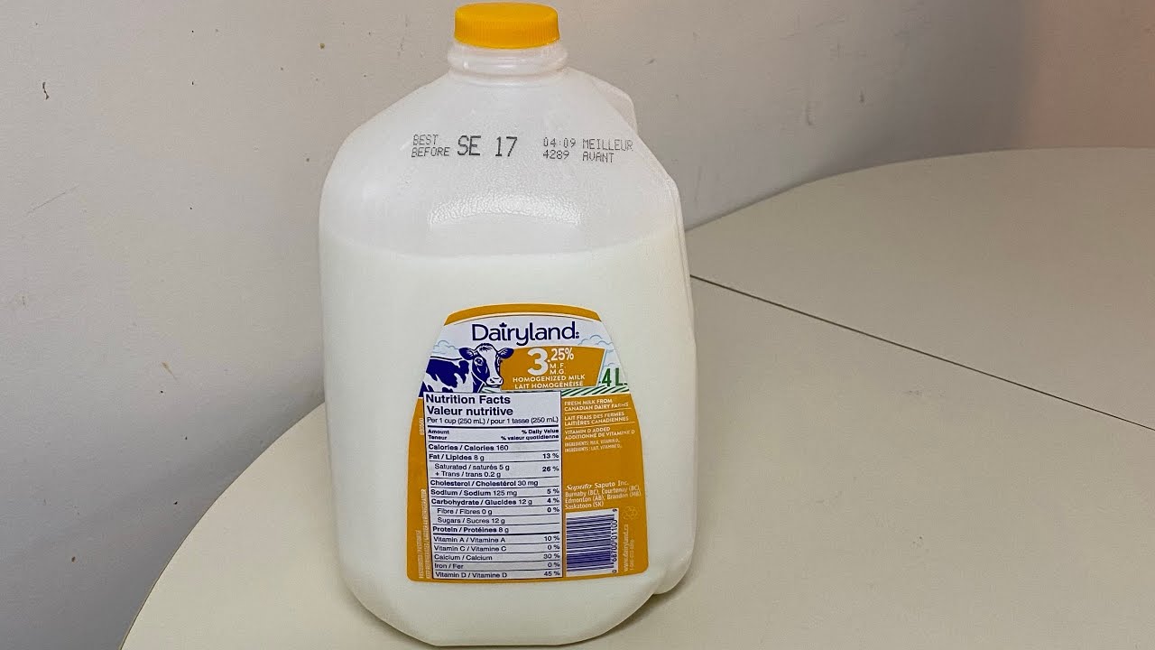 Dairyland 3.25% Whole Milk 🥛🐄 - YouTube