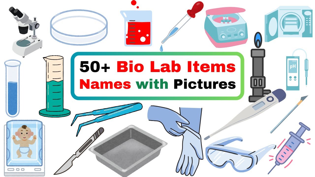 Bio Lab Vocabulary l 50 Biological Laboratory Equipments or Items names ...