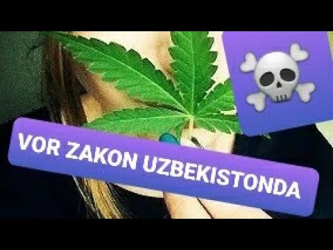 Вор Закон Узб