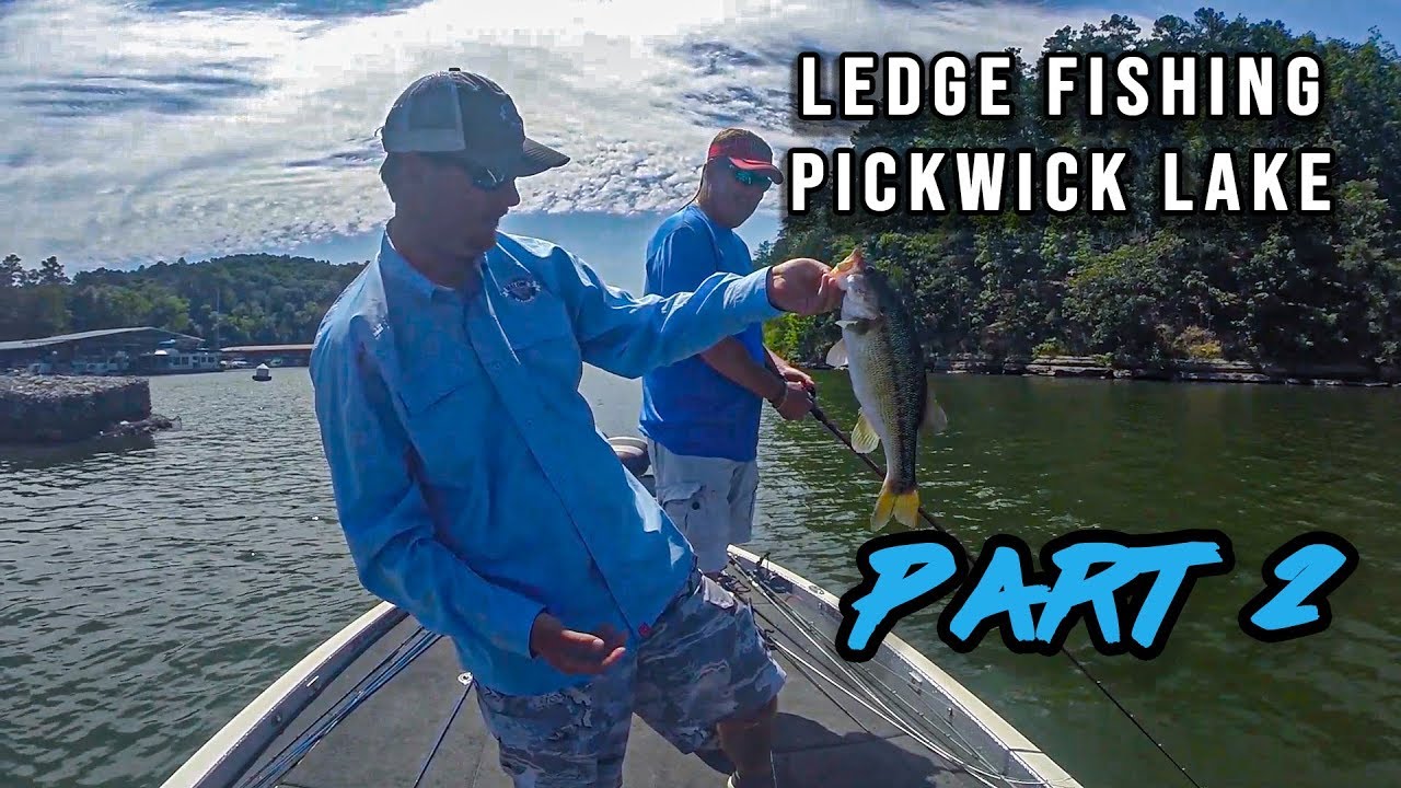 Ledge Fishing On Pickwick Lake Part II (Tons of Bass!!) - YouTube