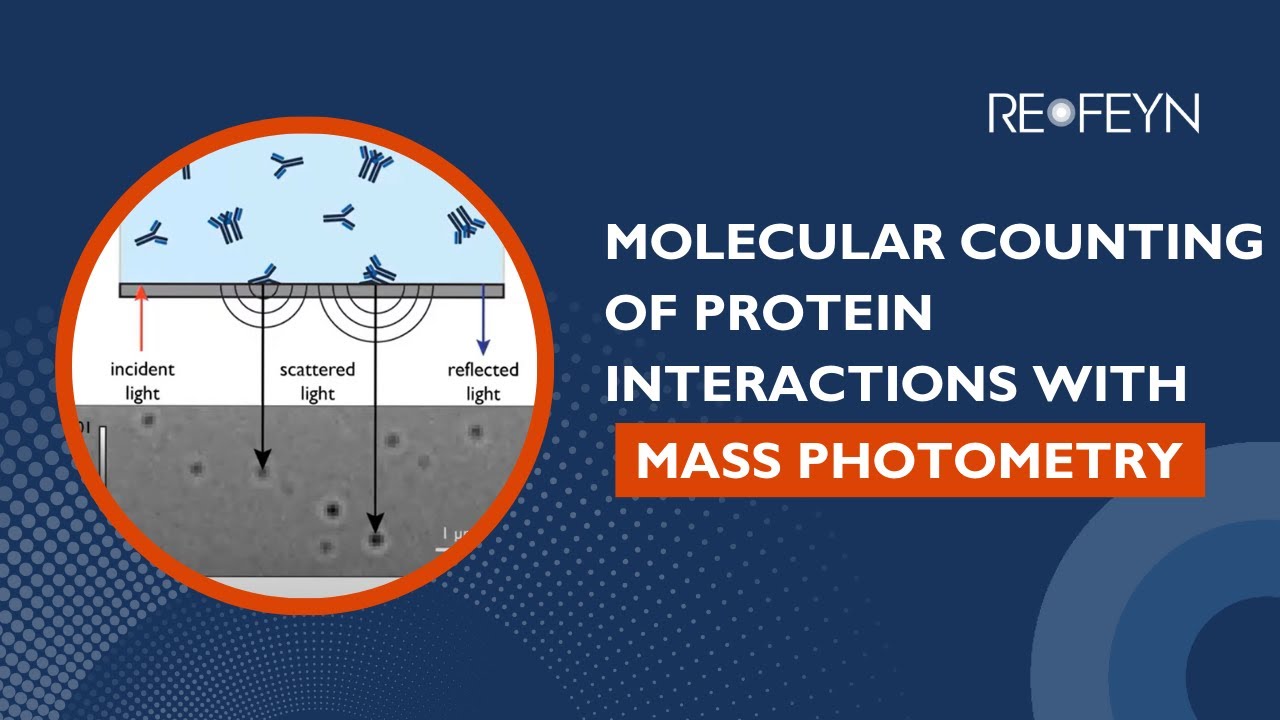 Mass Photometry for Protein Interactions: Molecular Counting Explained ...