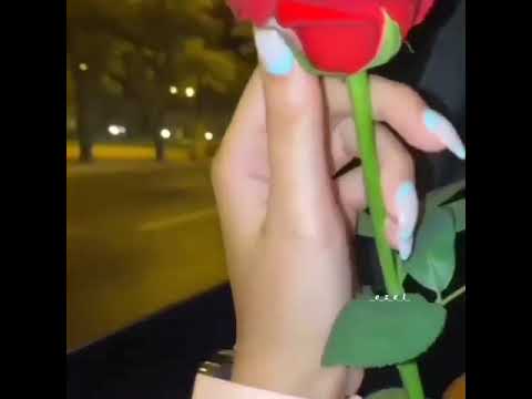 whatsApp üçün statuslar, video, mahnı, musiqi, mp3