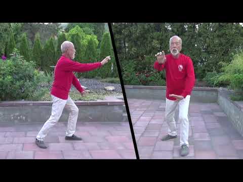 108 moves Moy TaiChi set - Move #8 Play the PeiPa