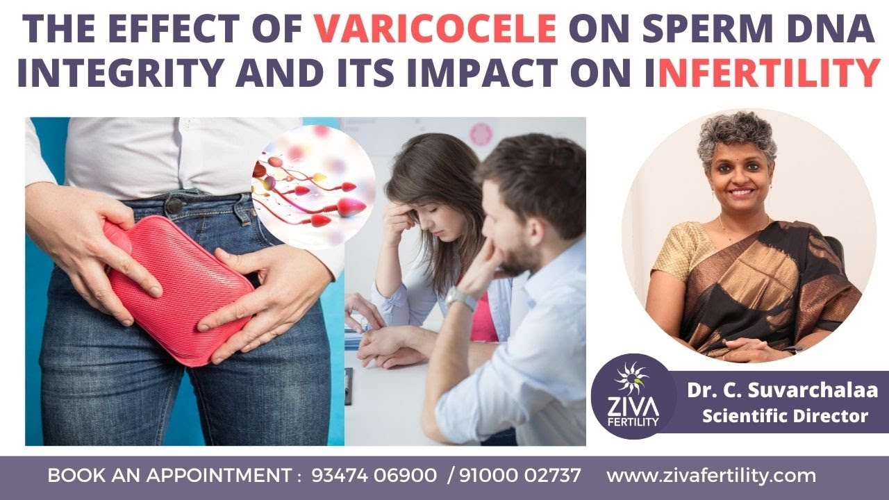 Effect of Varicocele on Sperm DNA | Male Infertility | Dr C Suvarchala ...
