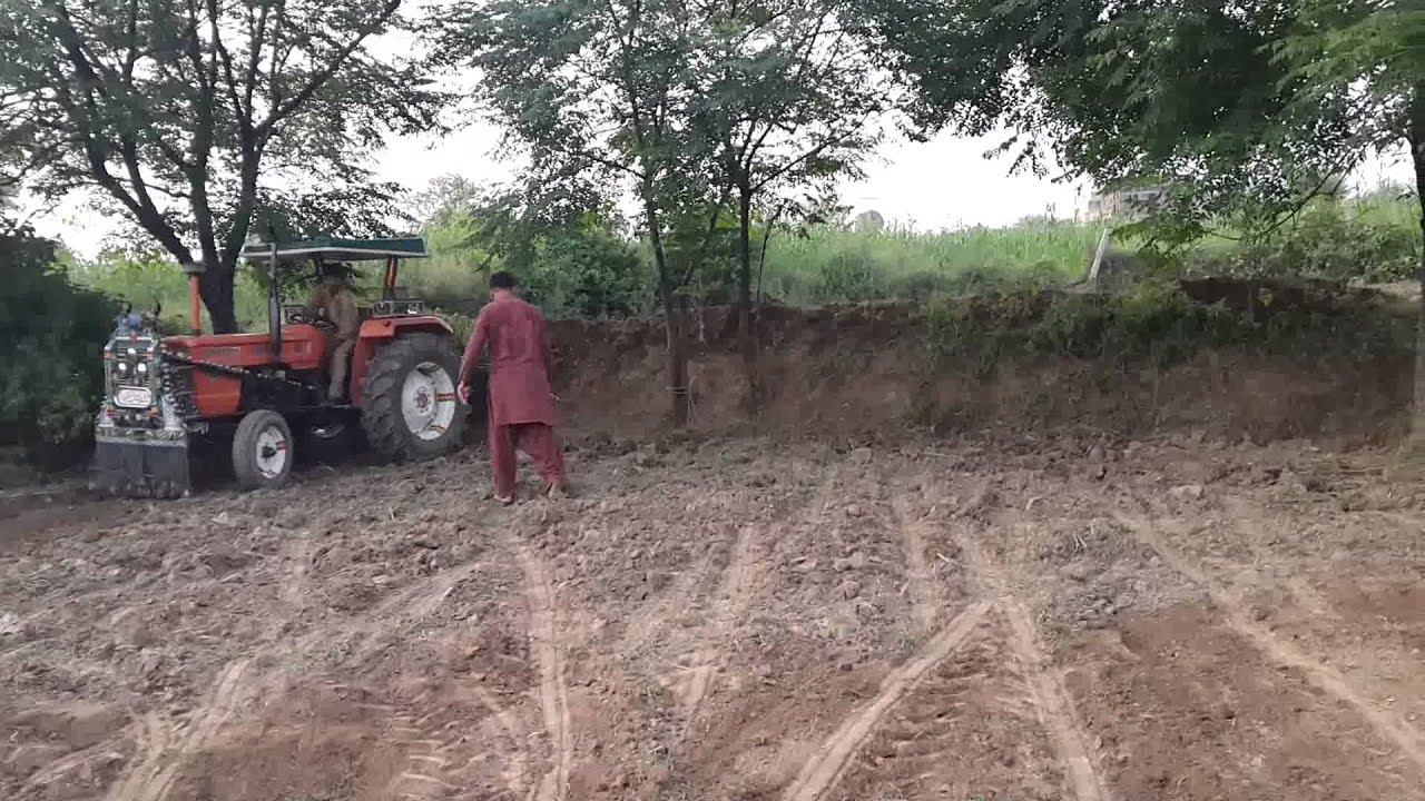 tractor Bidder Marjan malik majeed & malik arshad - YouTube