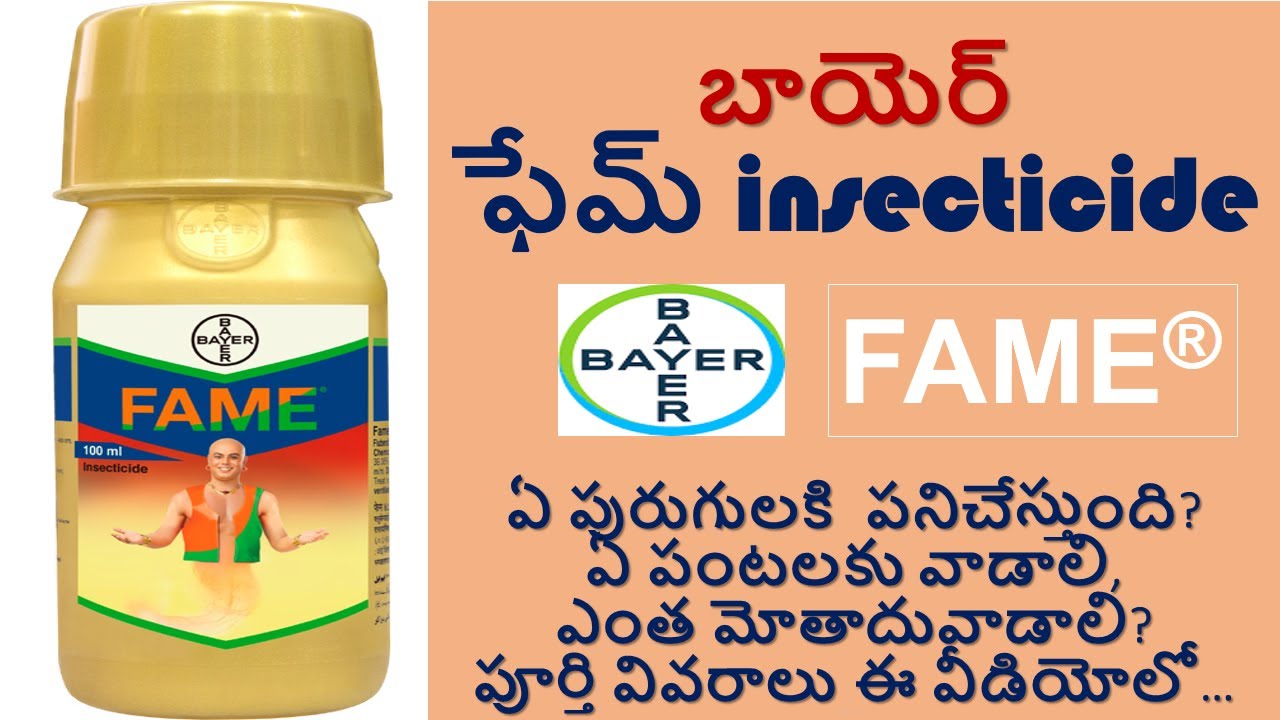 BAYER FAME INSECTICIDE | FAME INSECTICIDE COMPLETE DETAILS IN TELUGU ...