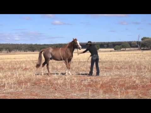 Jillian Prince and Leroy QS Demo Video footage 2013 - YouTube