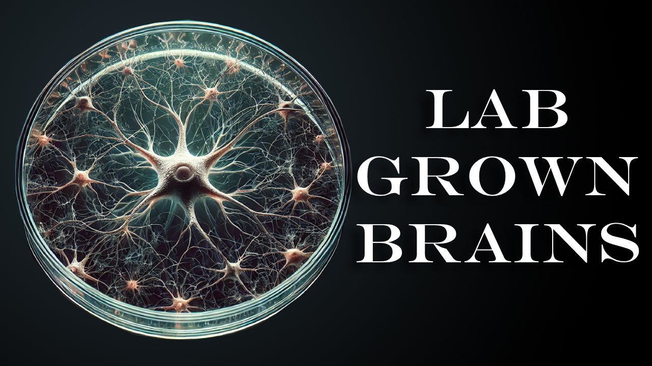 Trapped Minds: The Horrifying Reality of Organic Computing - YouTube