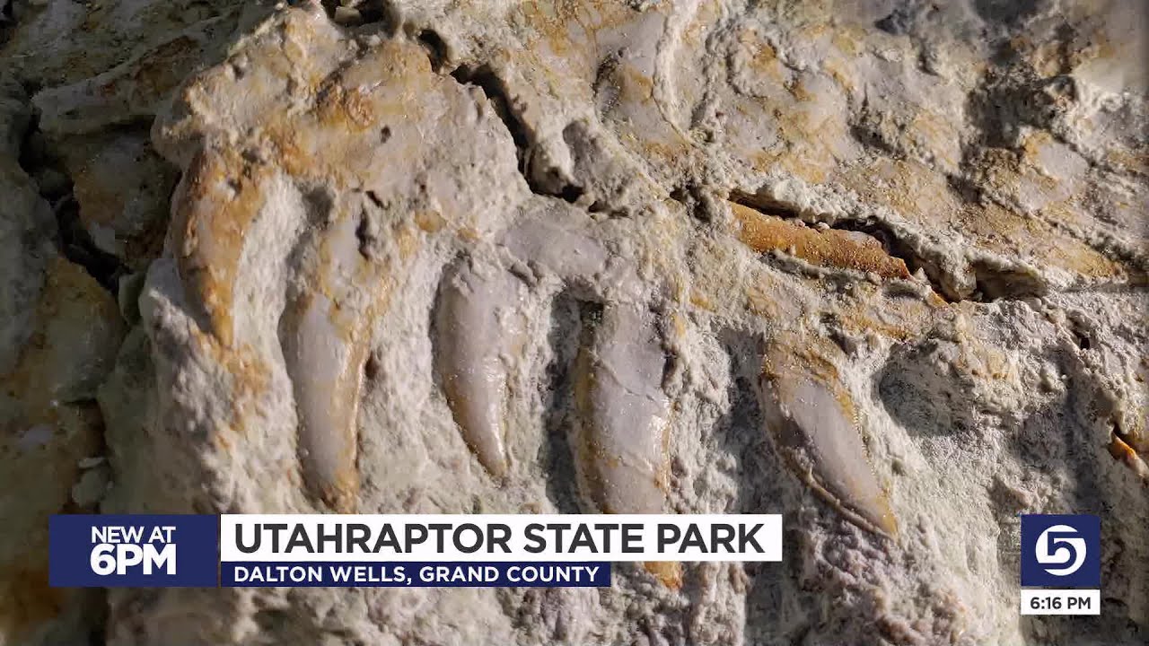 Utahraptor State Park Map 181 Utahraptor Fossil Images, Stock Photos,