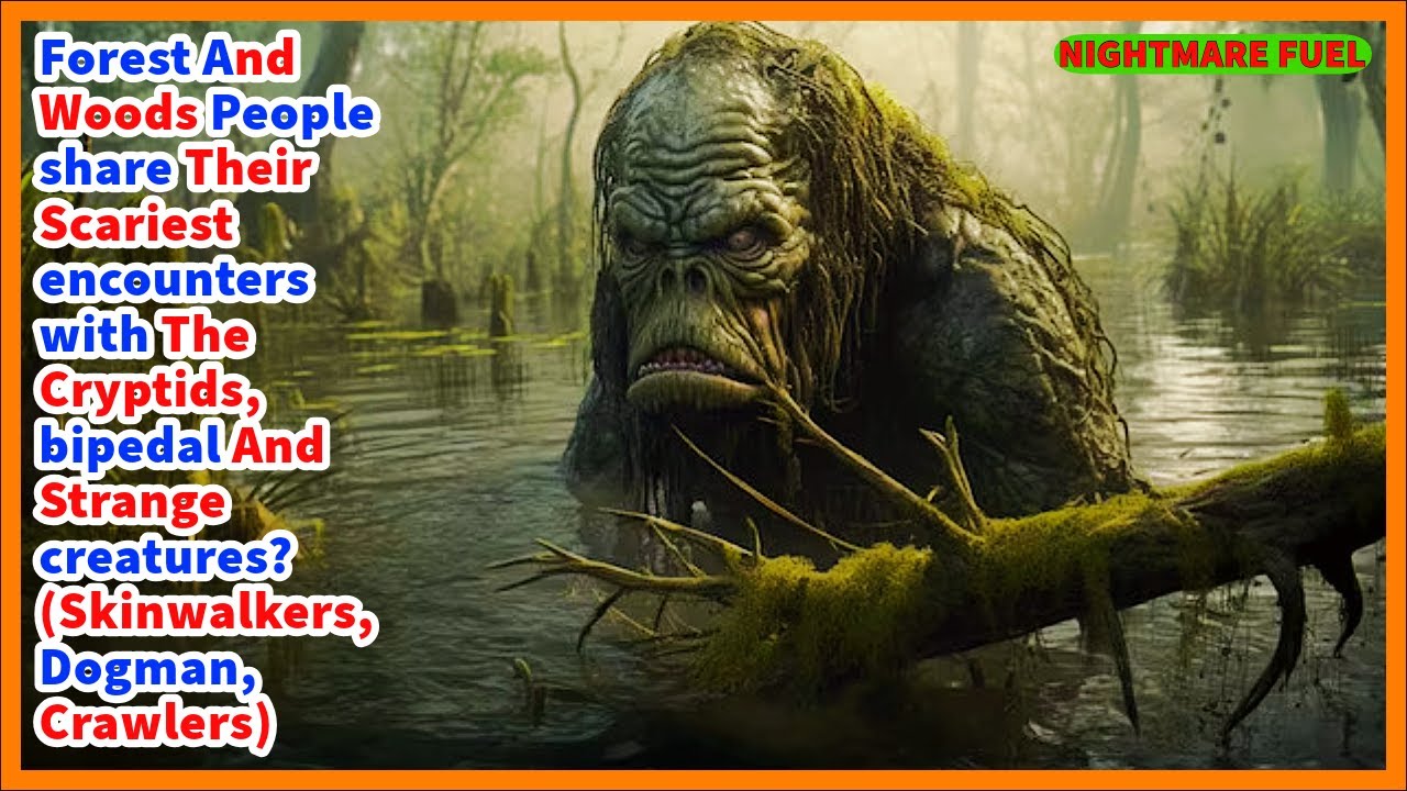 People share their scariest encounters with cryptids,and tall pale strange creatures, in the ...