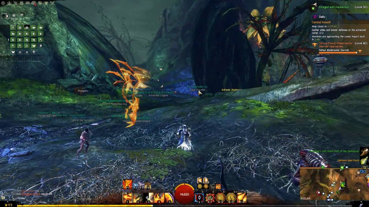 Guild wars 2 - Elementalist Burn Condition General PvE - YouTube