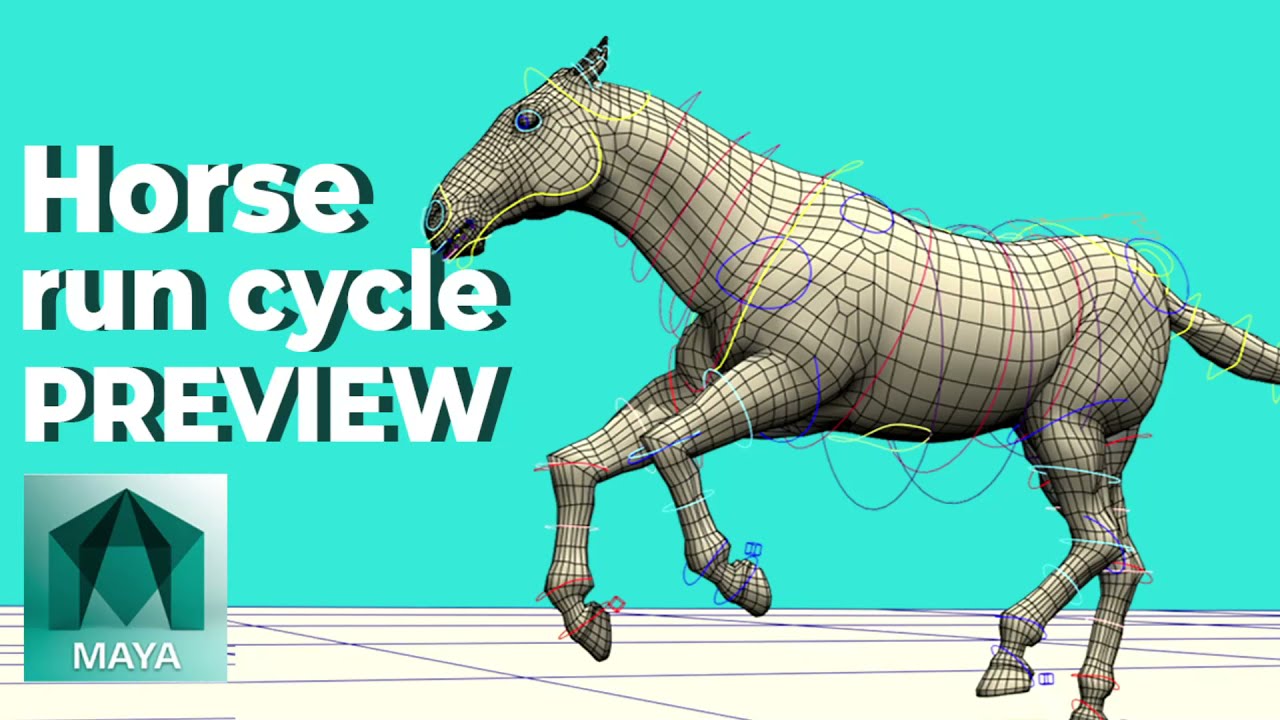 Animating a horse run cycle PREVIEW - YouTube