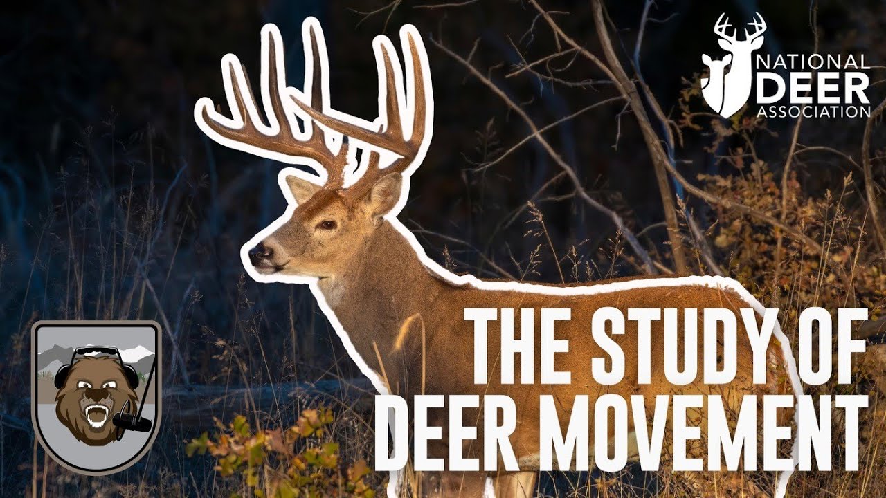 Bear Archery Podcast Ep. 171: The Study of Deer Movement - YouTube