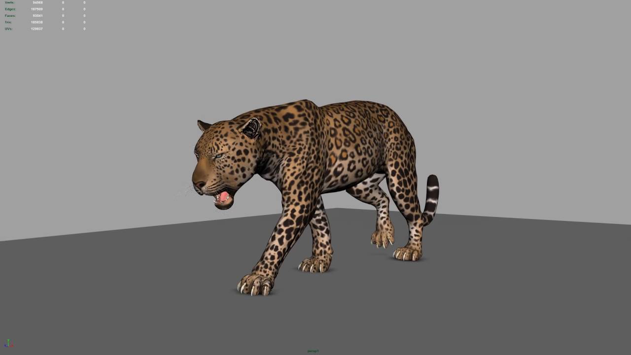 Leopard walk Cycle - YouTube