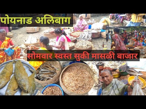 सोमवार स्वस्त सुकी मासळी बाजार | Dry Fish Market Poynad Alibaug ...