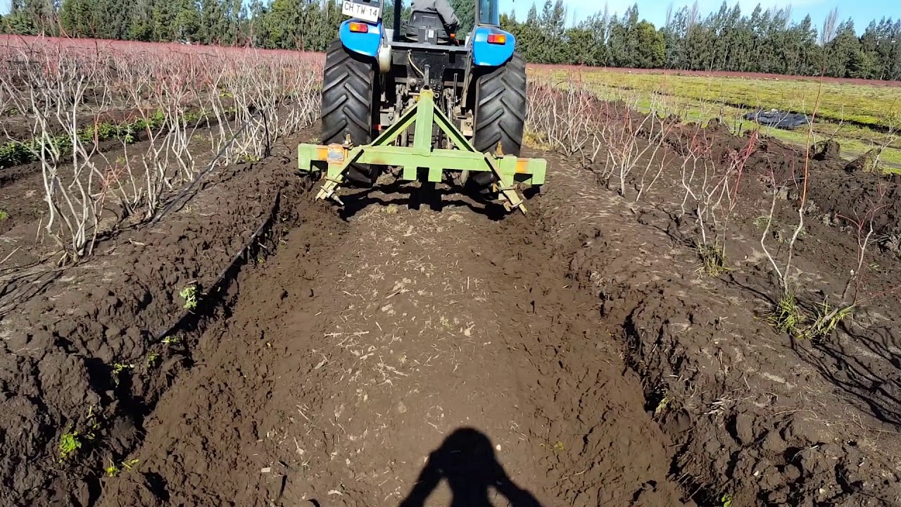 Subsolado en arandanos - YouTube