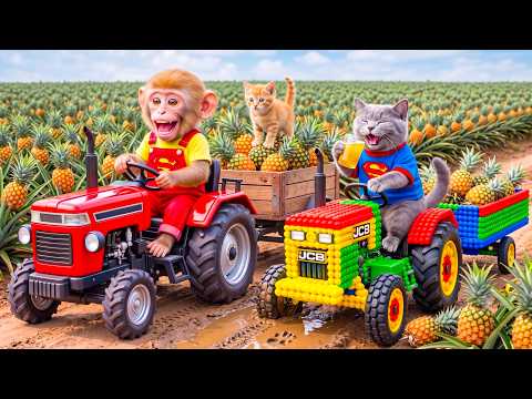 Monkey Farmer Drives Tractor to Harvest Pineapples with Tiny JCB Cat & Rescue a Kitten!