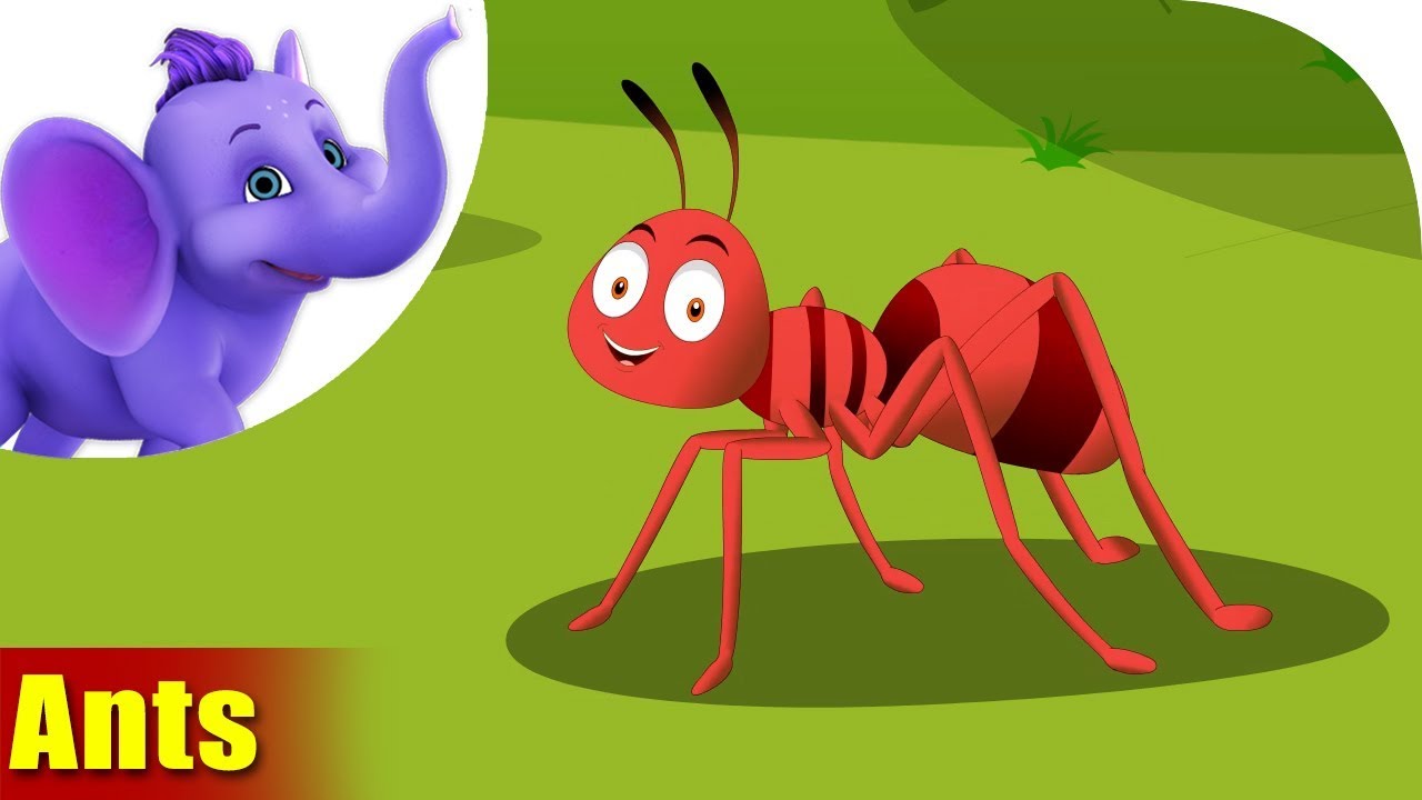 Ants | A Bug Song | 4K | Appu Series - YouTube