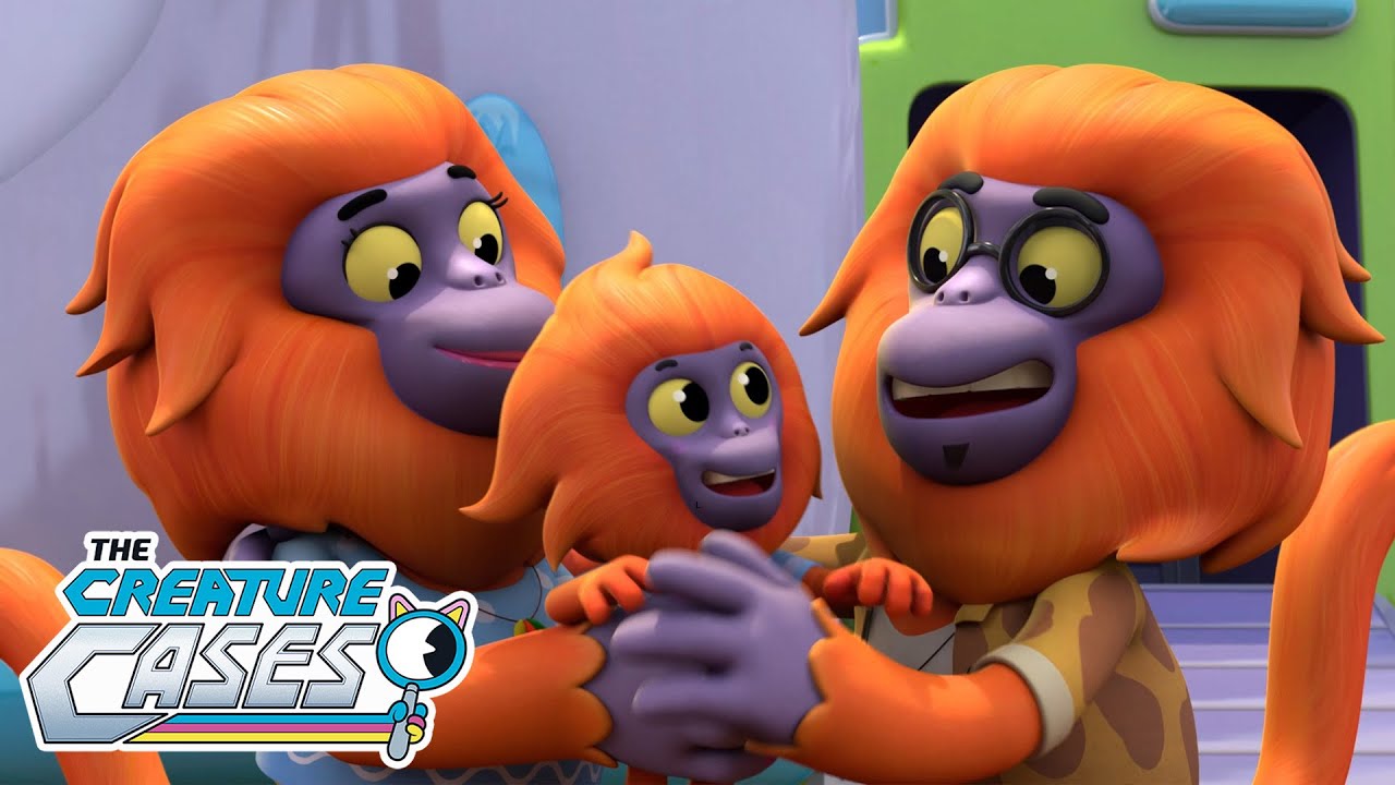 @CreatureCases - 🔎🙈 The Missing Monkey Mystery! 🙈🔎 | Season 1 Best Bits ...