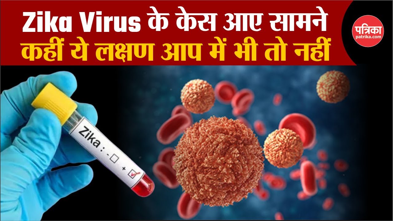 Zika Virus Symptoms: Pune Zika Virus: पुणे में Zika Virus का अलर्ट | Zika Virus Symptoms | Zika ...