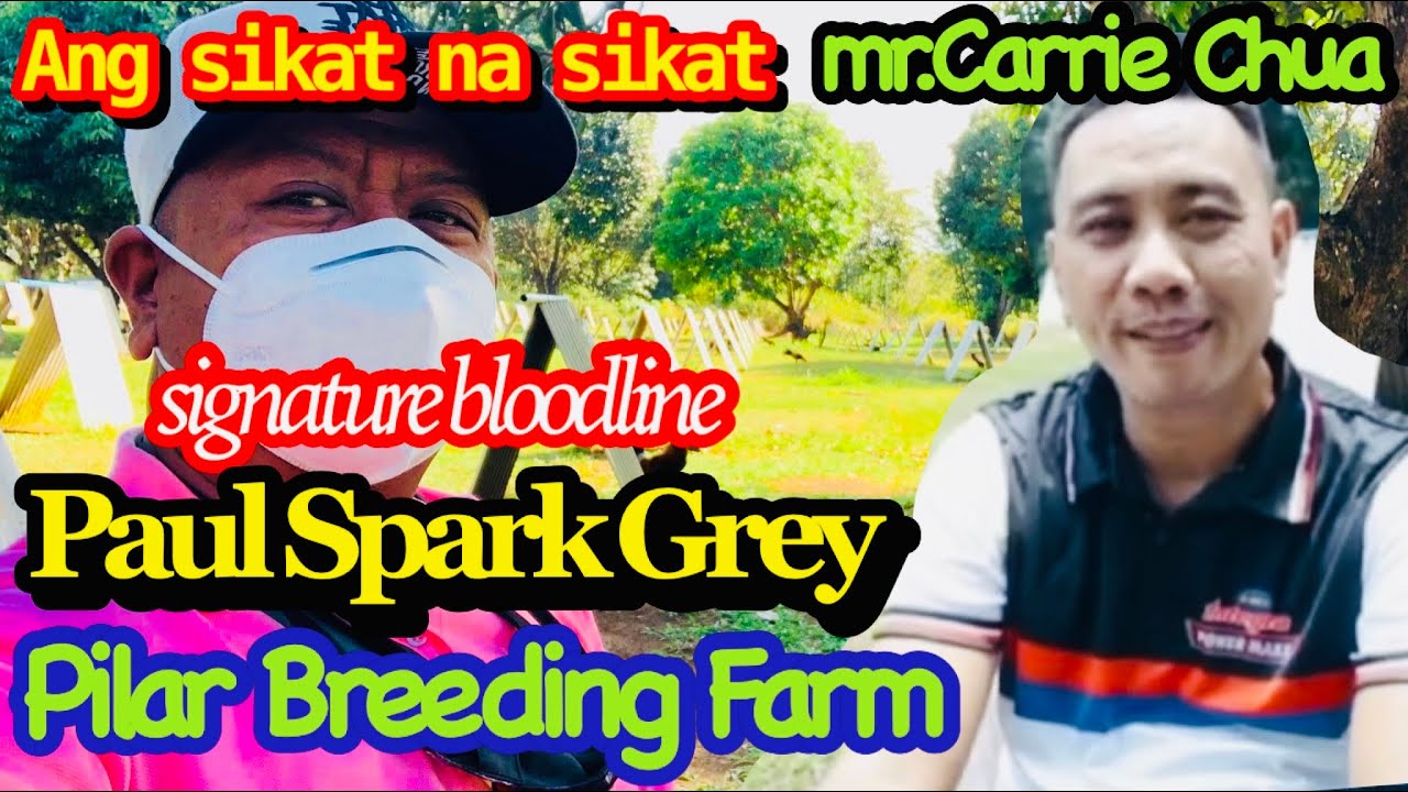 Carrie Chua breeding materials - YouTube