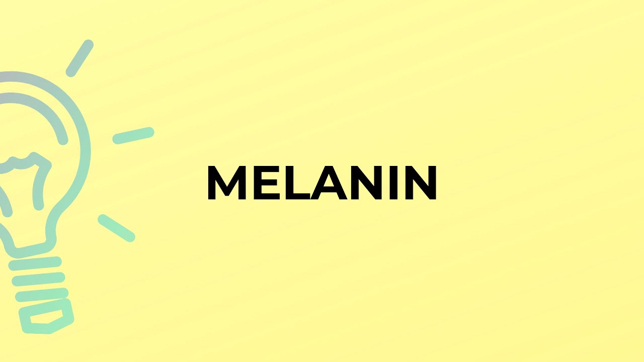 What is the meaning of the word MELANIN? - YouTube