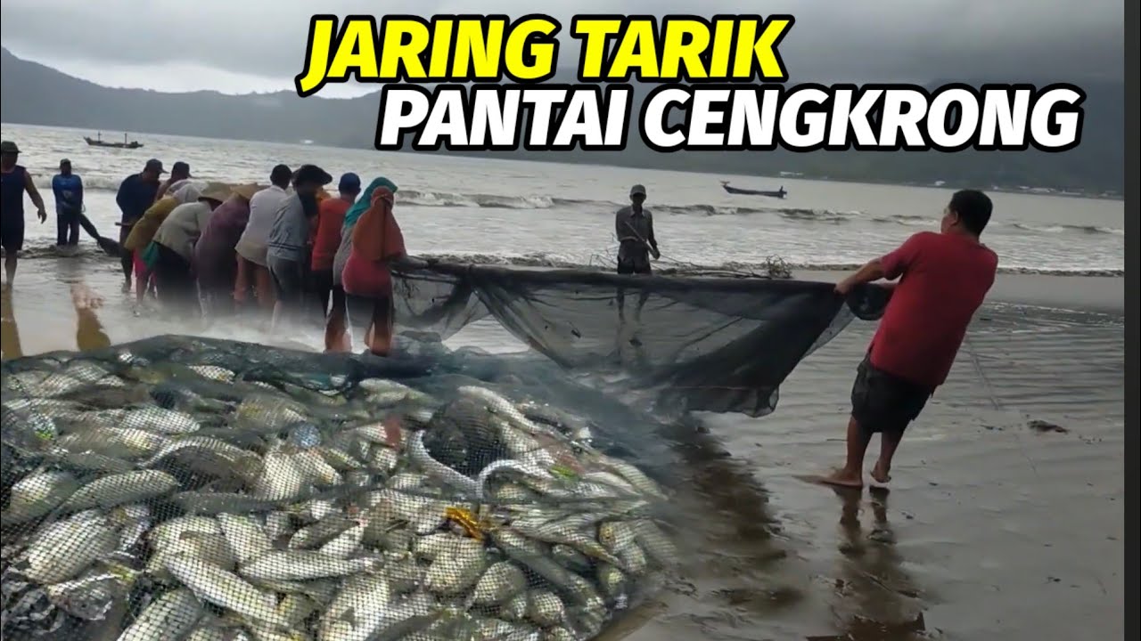 Perahu slerek menangis lihat ini , Jaring Tarik dapat ikan blencing ...