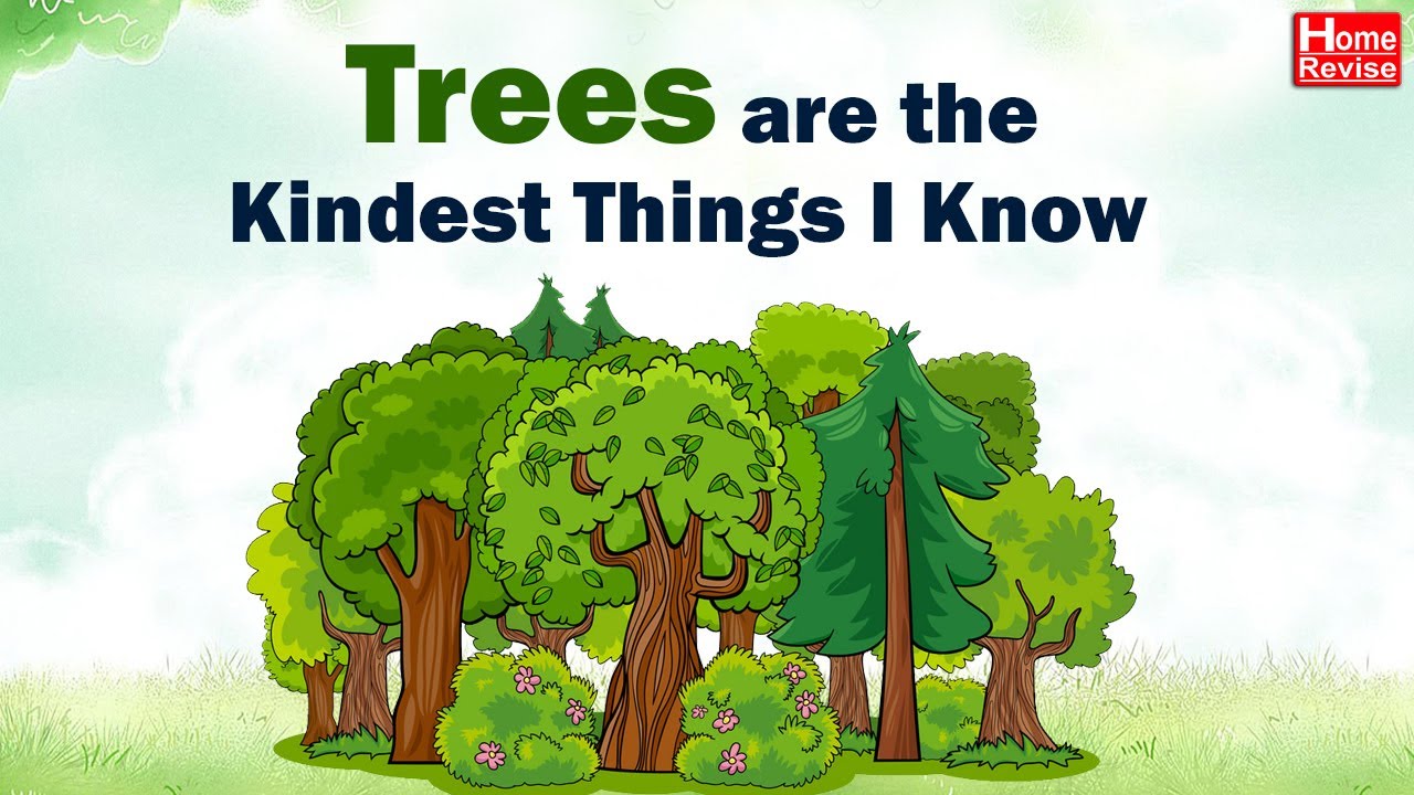 Trees Are The Kindest Things I Know Class 8 English Marathi Medium Maharashtra Board trees-are-the-kindest-things-i-know-class-8-english-marathi-medium-maharashtra-board