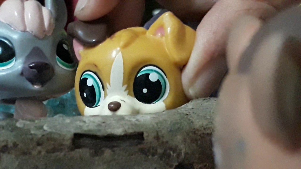 DRESS IN DRAG AND DO THE HULA LPS (With CookieCatgirl YourKitty) - YouTube