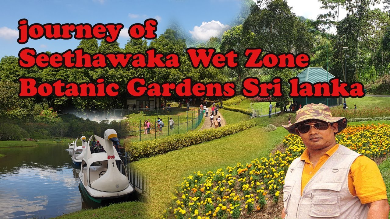 journey of Seethawaka Wet Zone Botanic Gardens Sri lanka - YouTube