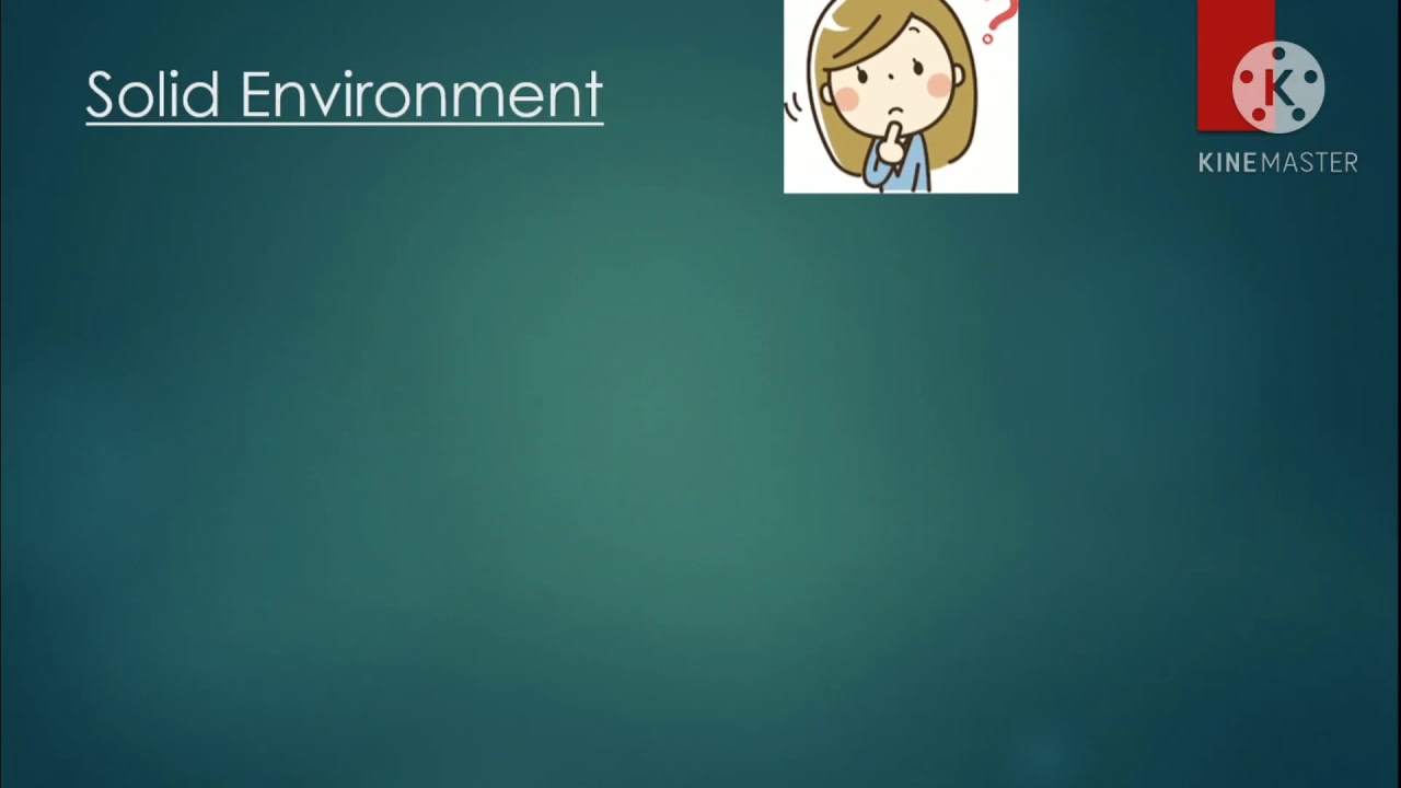 SOLID ENVIRONMENT - YouTube