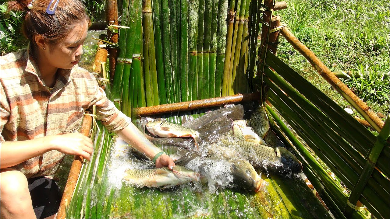 Amazing Fish Trap | Building Unique Easy Fish Trap System, Catch a lot ...