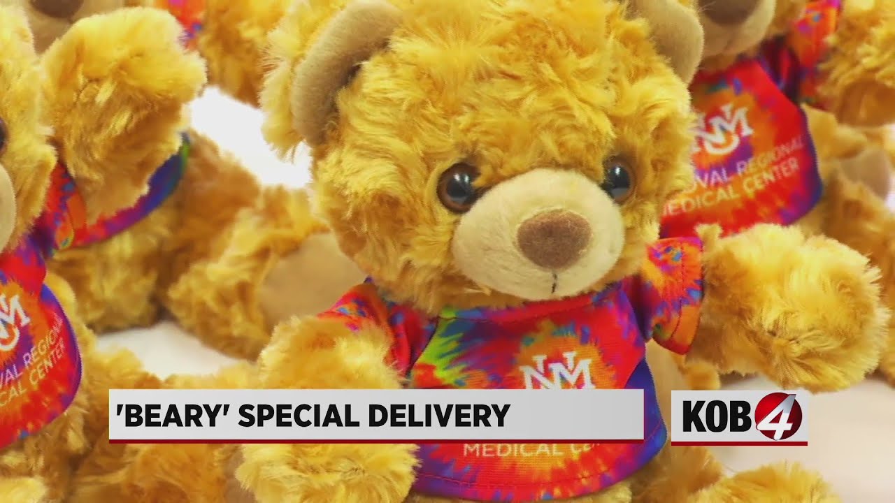 Community donated teddy bears brings smiles to children in local ...